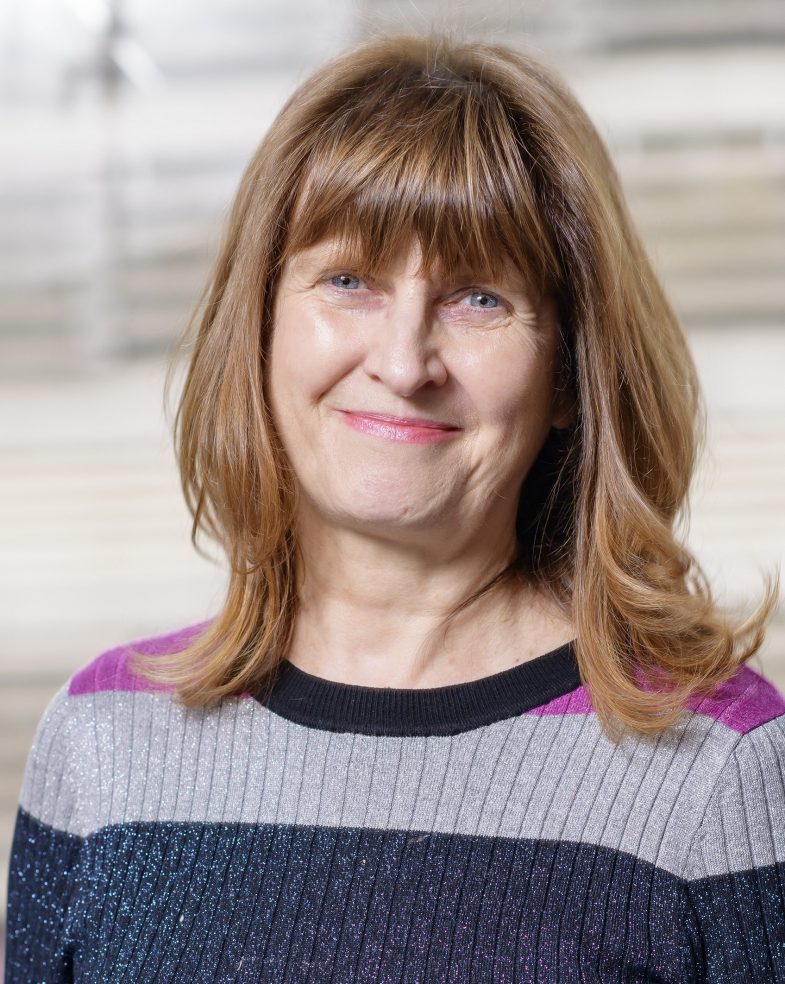 New Series Editor for Contemporary Irish Writers: Speaking with Anne ...